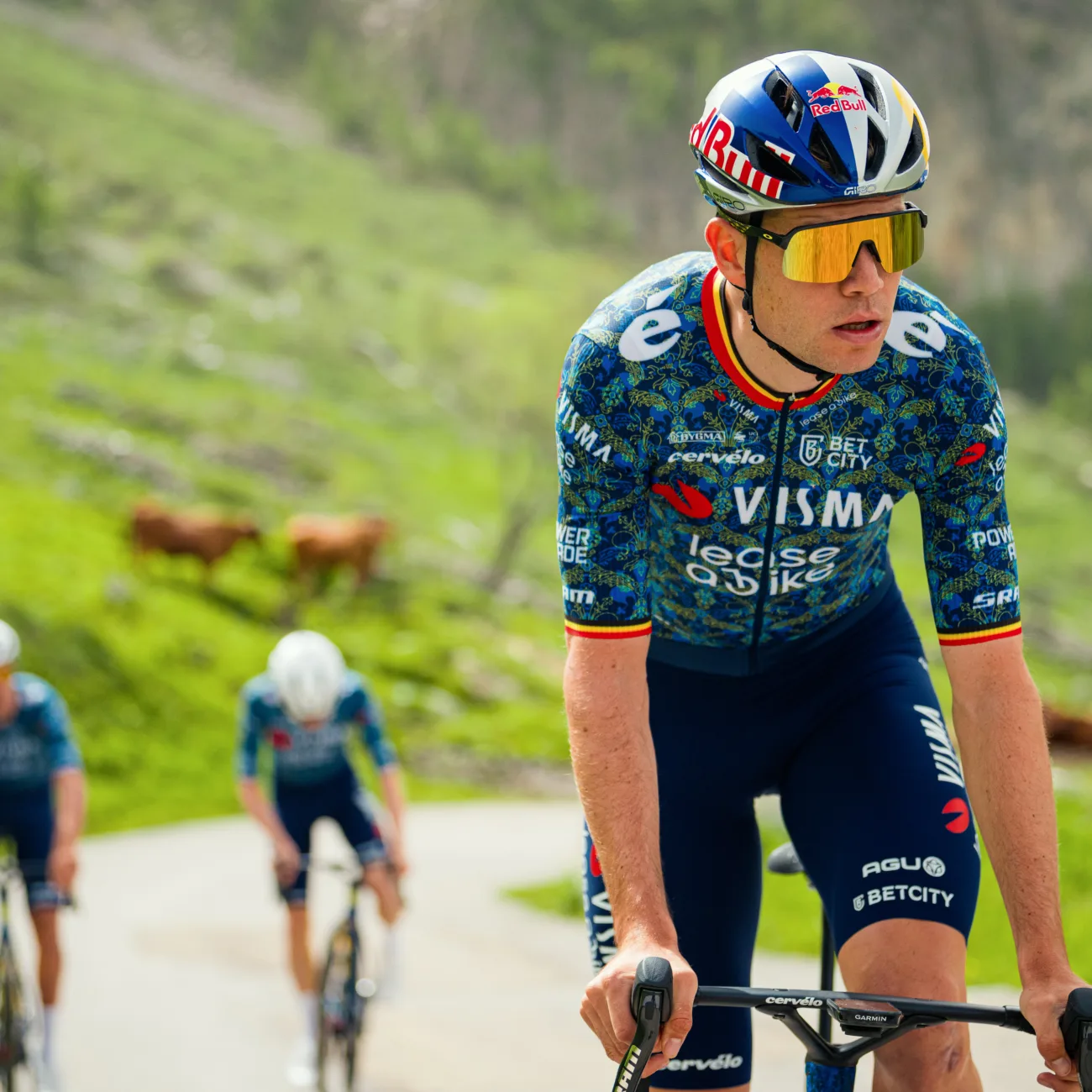 Customized for every stage: Visma Lease-a-Bike & AGU go for it ...